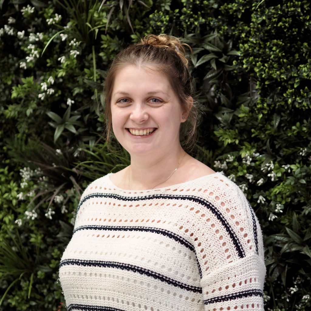 Meet the Team - Westworks